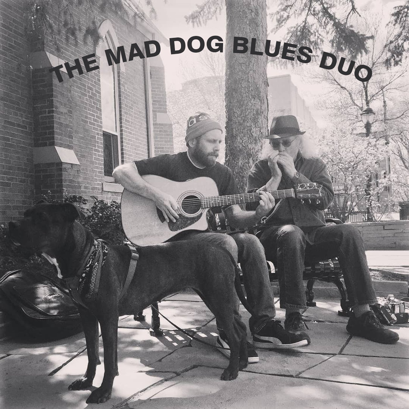 Mad Dog Blues Duo | Buffalo Rose